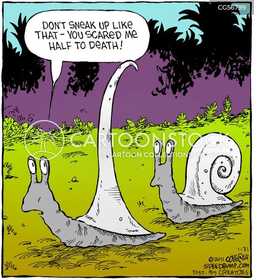 Scared Reaction Cartoons and Comics - funny pictures from CartoonStock