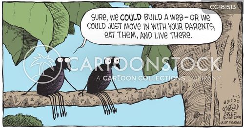 Spinning A Web Cartoons and Comics - funny pictures from CartoonStock