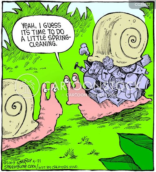 Springtime Insects Cartoons and Comics - funny pictures from CartoonStock