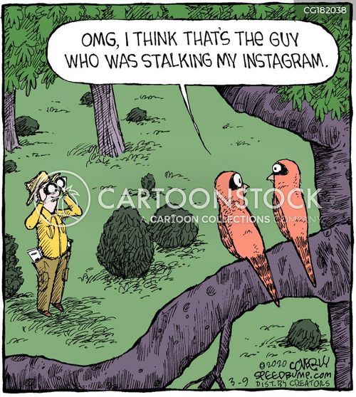 Funny Facebook Stalker Pics