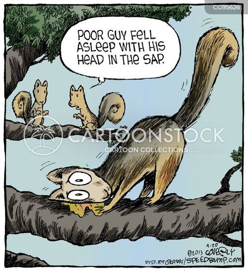 Sap Cartoons and Comics - funny pictures from CartoonStock