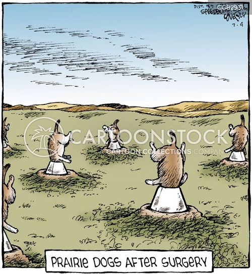 Collar Cartoons and Comics - funny pictures from CartoonStock