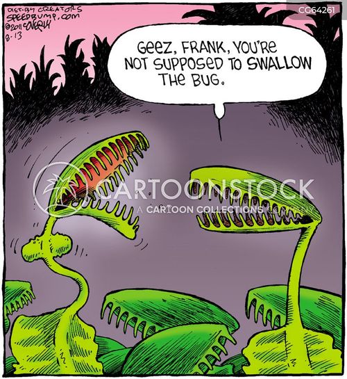 Digestion Aid Cartoons and Comics - funny pictures from CartoonStock