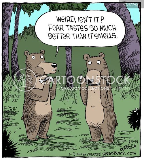 Tasting Bear Cartoons and Comics - funny pictures from CartoonStock
