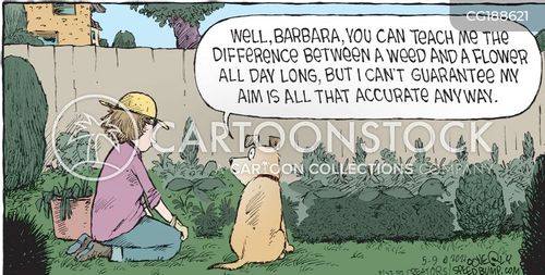 Aim Cartoons and Comics - funny pictures from CartoonStock