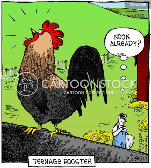 Dog Rooster Cartoons and Comics - funny pictures from CartoonStock