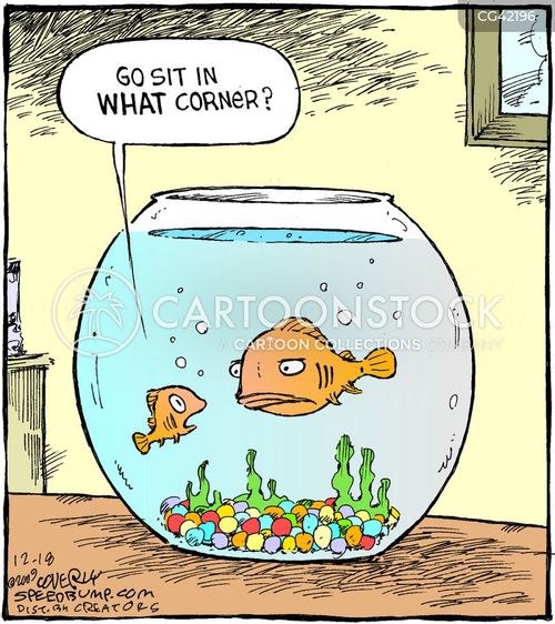 Sit In The Corner Cartoons and Comics - funny pictures from CartoonStock