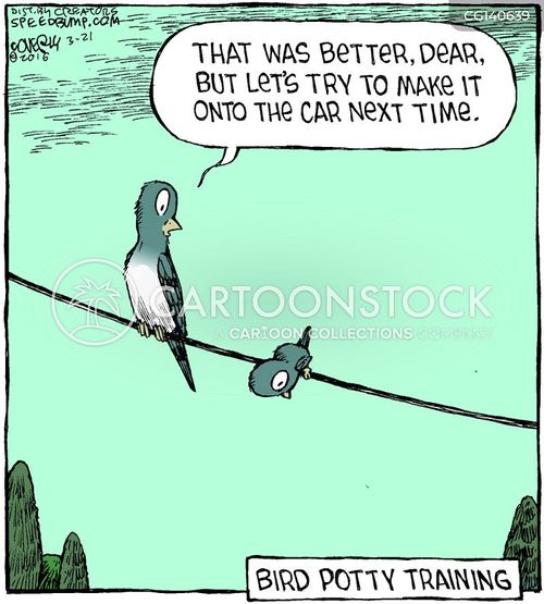 Bird Poop Cartoons And Comics Funny Pictures From Cartoonstock