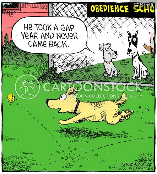 Dog Training College Cartoons and Comics - funny pictures from CartoonStock