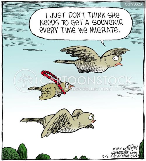 Travel Memento Cartoons and Comics - funny pictures from CartoonStock