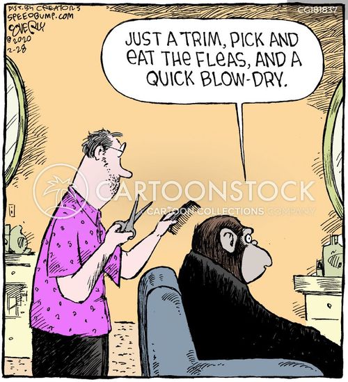 Hair Trimming Cartoons and Comics - funny pictures from CartoonStock