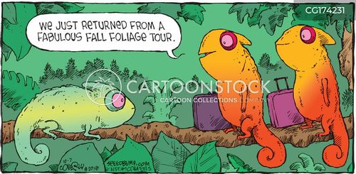 Fall Foliage Display Cartoons and Comics - funny pictures from CartoonStock
