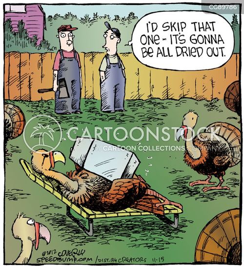 Turkey Basting Memes Cooking Turkey Microwave Oven Meme Stock Photo