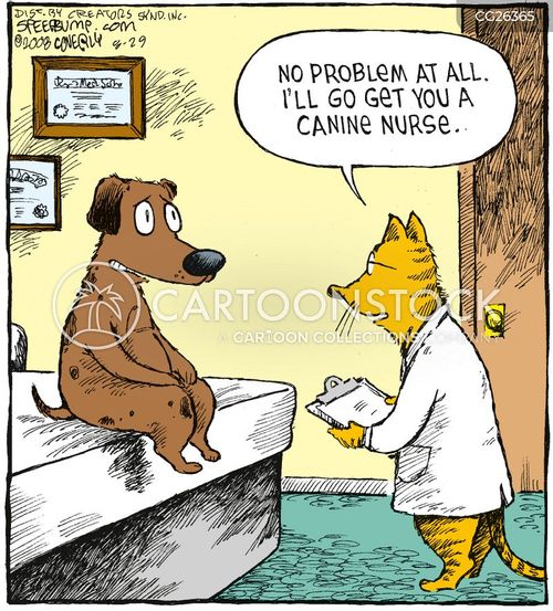 Pet Check Ups Cartoons and Comics - funny pictures from CartoonStock