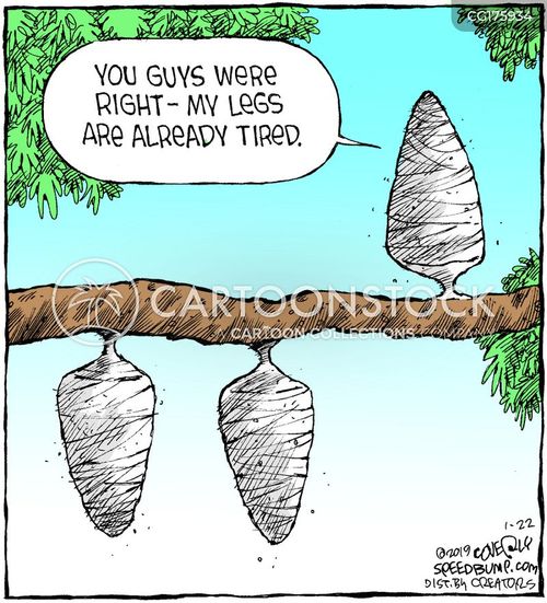 Cocoon Cartoons and Comics - funny pictures from CartoonStock