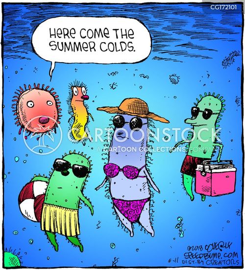 Summit Fever Cartoons and Comics - funny pictures from CartoonStock