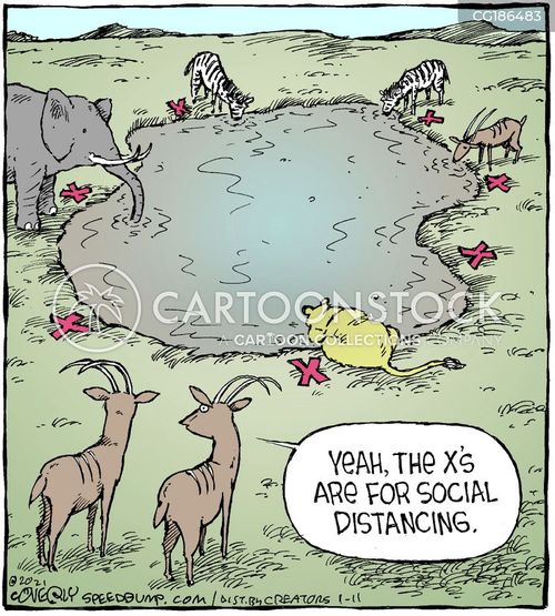 Playing Fiddles Cartoons and Comics - funny pictures from CartoonStock