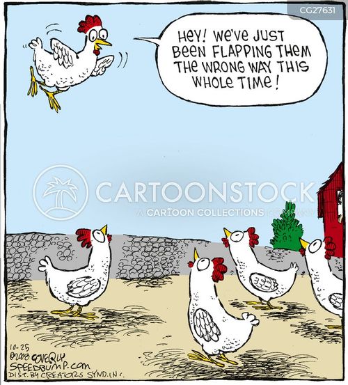 Bird Cartoons and Comics - funny pictures from CartoonStock