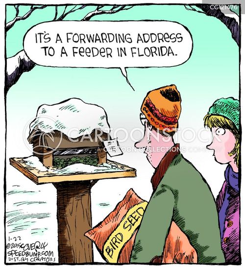 Snow-bird Cartoons and Comics - funny pictures from CartoonStock