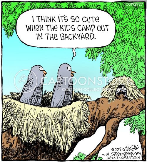 Backyard Camping Cartoons and Comics - funny pictures from CartoonStock