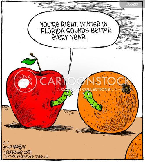 Seasonal Insects Cartoons and Comics - funny pictures from CartoonStock