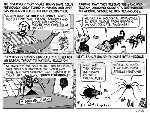 Spindle Cartoons and Comics - funny pictures from CartoonStock