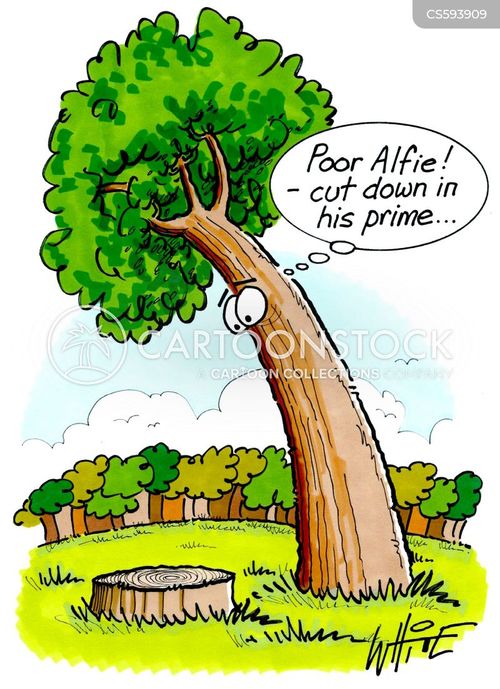 Arborist Cartoons and Comics - funny pictures from CartoonStock