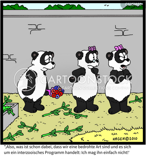 Cartoons und Karikaturen mit Panda-zuchtprogramm