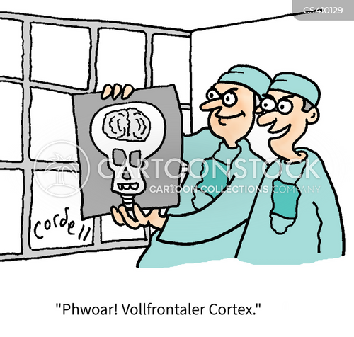 Cartoons und Karikaturen mit Frontale Cortex