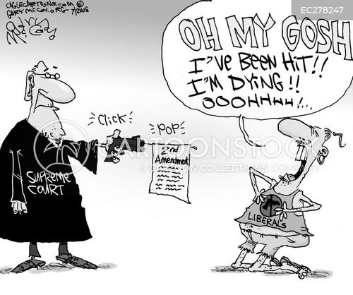 Second Amendment Rights Cartoons and Comics - funny pictures from ...