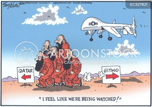 Adam Gadahn Cartoons and Comics - funny pictures from CartoonStock