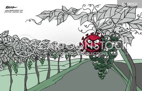 Viral Replication Cartoons and Comics - funny pictures from CartoonStock