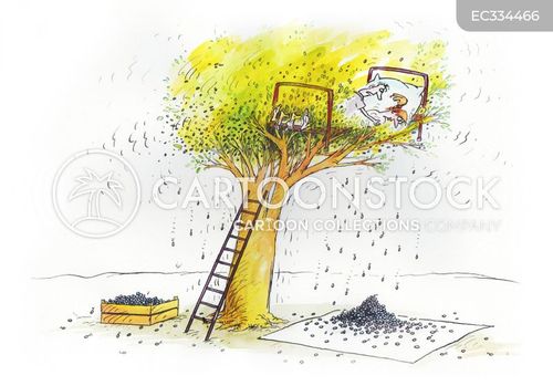 Producción Cartoons and Comics - funny pictures from CartoonStock