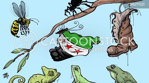 Ahmed Al-sharaa Cartoons and Comics - funny pictures from CartoonStock