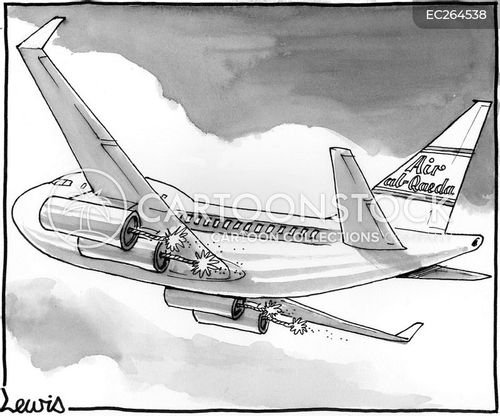Airline Parody Cartoons and Comics - funny pictures from CartoonStock