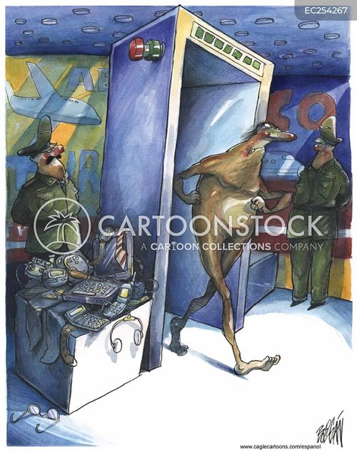 Aviation Security Cartoons and Comics - funny pictures from CartoonStock