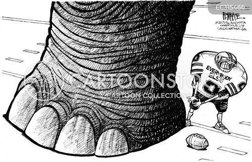 Roll Tide Cartoons and Comics - funny pictures from CartoonStock