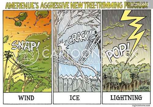 Tree-trimming Cartoons and Comics - funny pictures from CartoonStock