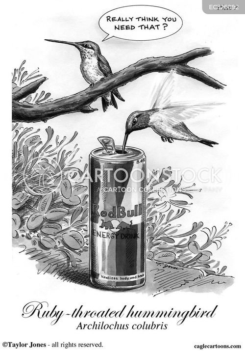 Bird Photography Cartoons and Comics - funny pictures from CartoonStock