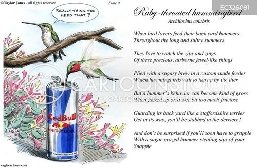 Bird Photography Cartoons and Comics - funny pictures from CartoonStock