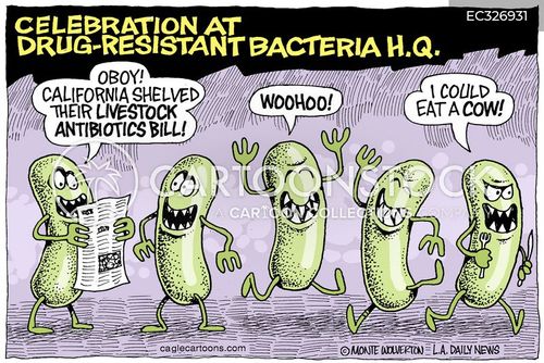 Animal Feed Cartoons and Comics - funny pictures from CartoonStock