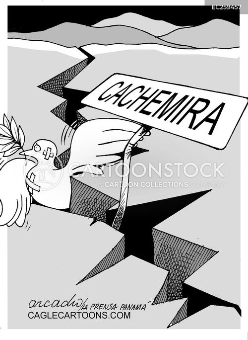 Cashmere Cartoons and Comics - funny pictures from CartoonStock