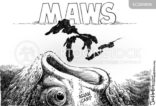 Asian Carp Cartoons and Comics - funny pictures from CartoonStock