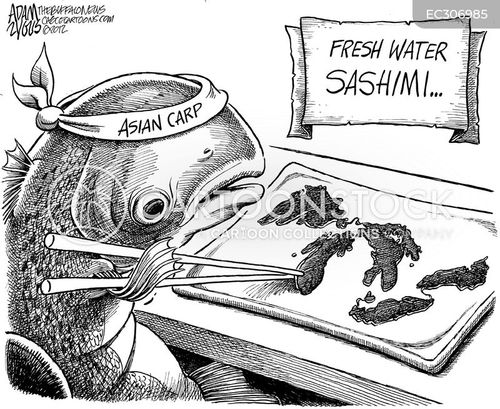 Fish Migration Cartoons and Comics - funny pictures from CartoonStock