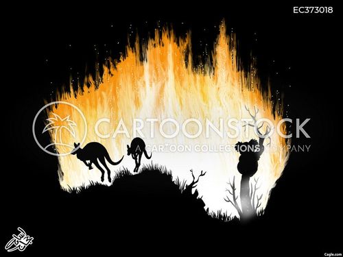 Kangaroo Conservation Cartoons and Comics - funny pictures from ...