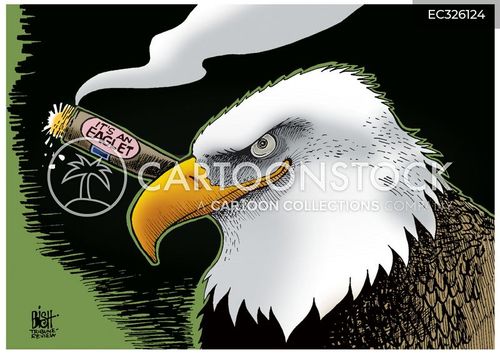 Bald Headed Eagle Cartoons and Comics - funny pictures from CartoonStock