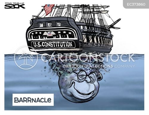 Barnacle Boy Cartoons and Comics - funny pictures from CartoonStock