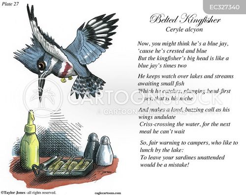 Birding Guide Cartoons and Comics - funny pictures from CartoonStock