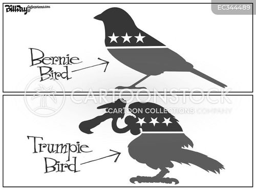 Bird Semantics Cartoons and Comics - funny pictures from CartoonStock