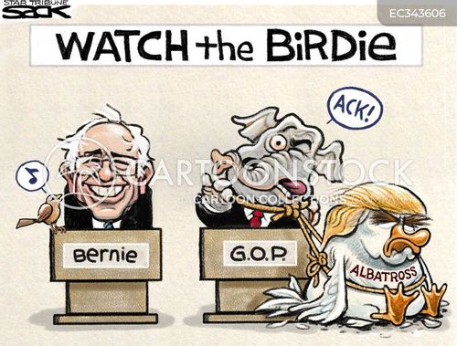 Bernie Bird Cartoons and Comics - funny pictures from CartoonStock